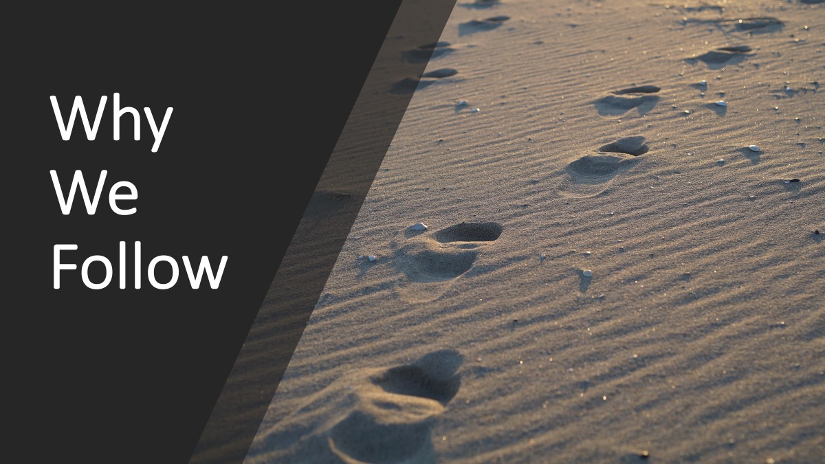 Why We Follow